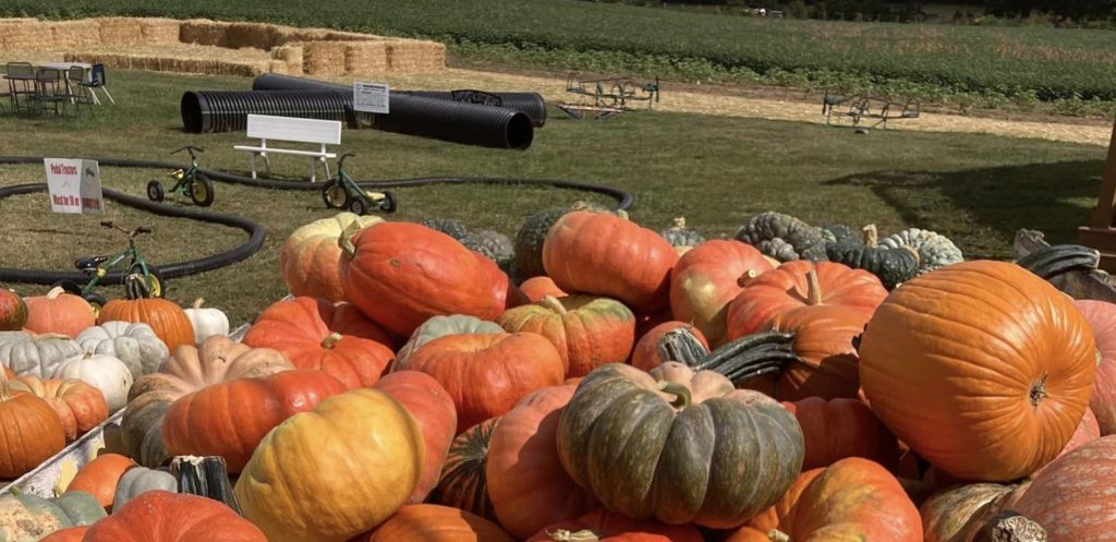 Cates Farm & Produce - Henderson Tourist Commission