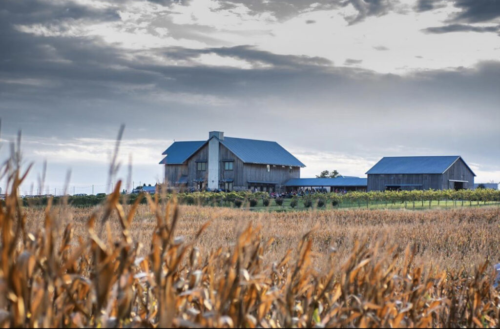 Farmer & Frenchman Winery & Cafe - Henderson Tourist Commission